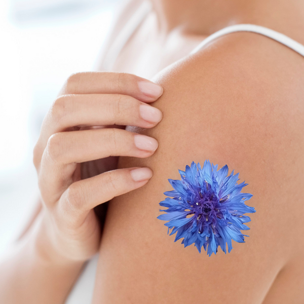 Cornflower Temporary Tattoo – Motor Neurone Disease NSW